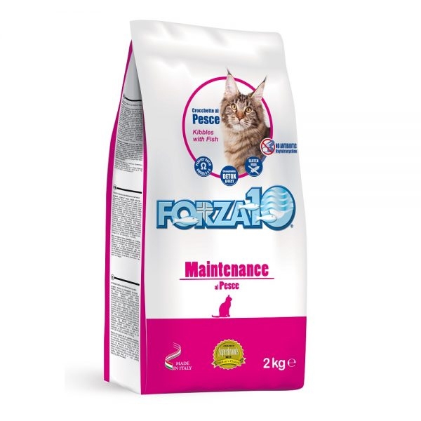 Forza10 - Maintenance al Pesce - Cani.it